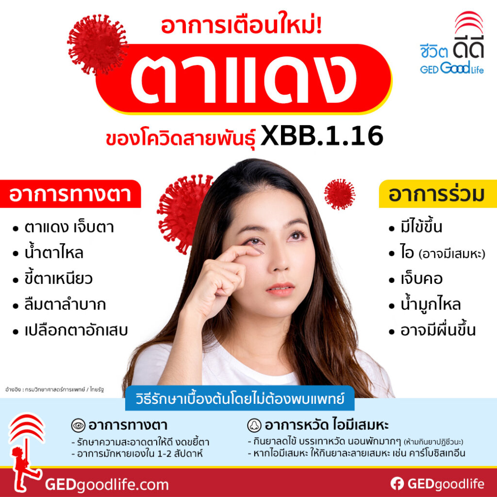 โควิดสายพันธุ์ใหม่ XBB.1.16 มาจากไหน มีอาการยังไง แพร่เร็วหรือไม่? - GED good life ชีวิตดีดี ...
